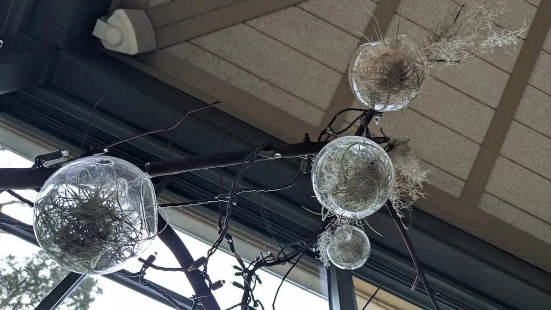 Turn Your iPhone into a Bedside Clock, Digital Photo Frame, or Full ...